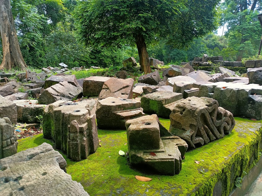 Things to Do and Places to Visit in Numaligarh | Ghumakkadi.com